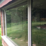 Bird Safety Window Film | Window Film Systems
